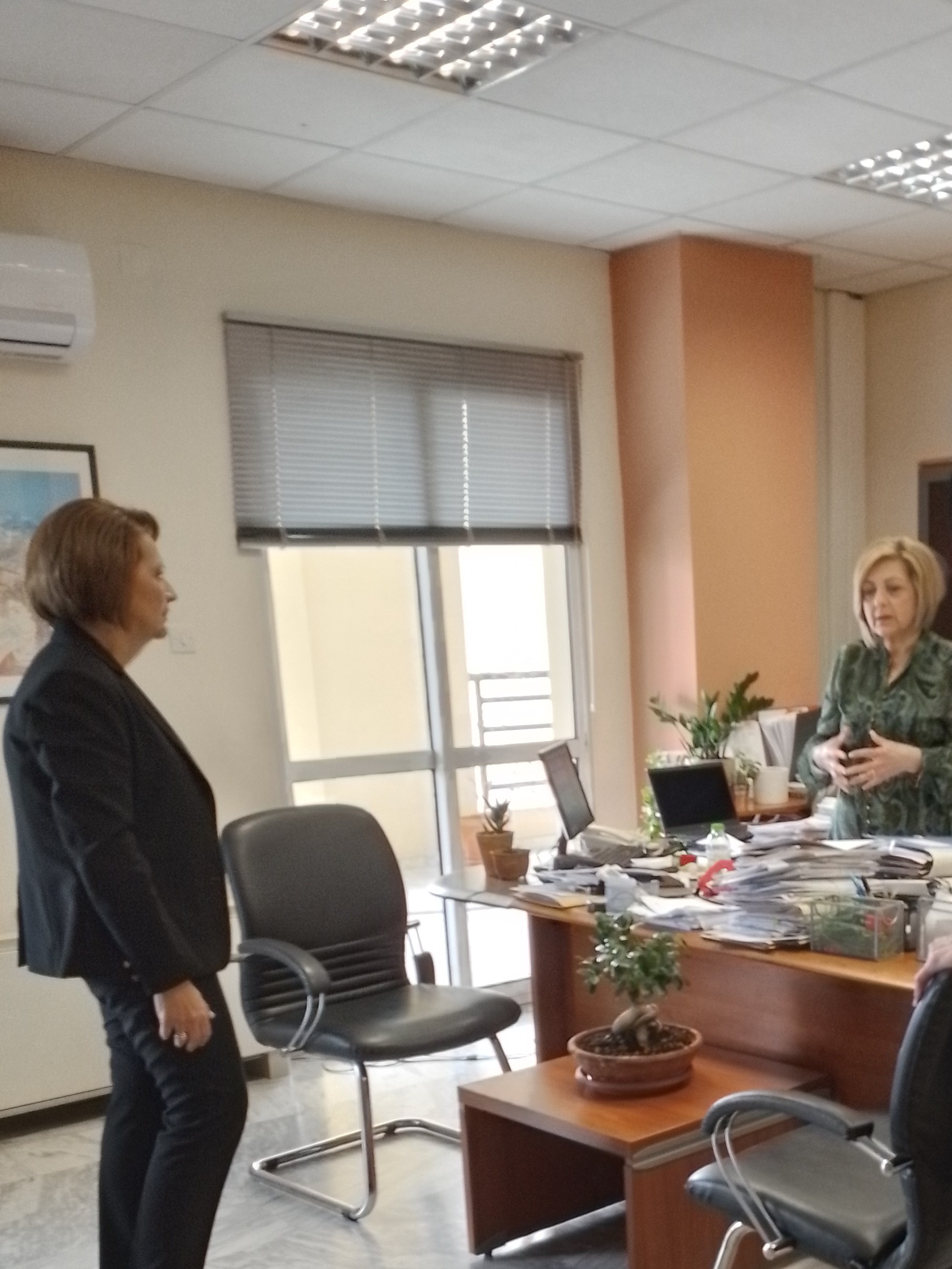 ΣΤΟΝ ΕΦΚΑ ΚΑΙ ΣΤΗΝ ΕΠΙΘΕΩΡΗΣΗ ΕΡΓΑΣΙΑΣ Η ΜΑΡΙΝΑ ΧΡΥΣΟΒΕΛΩΝΗ - istigmes