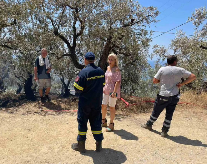Ευθυνες στη Π.Υ από την Δ.Κολυνδρίνη: Αυτό που έγινε οφείλεται σε λάθος ...